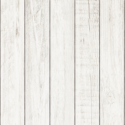 Whitewash Vertical Shiplap Pattern